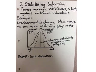 Mechanisms of selection | PPT