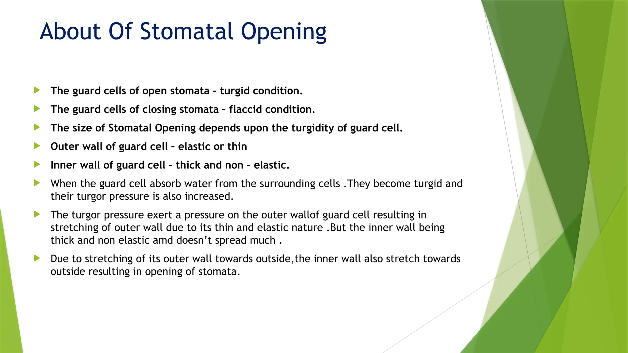 Mechanisms Of Stomatal Opening and Closing.pptx