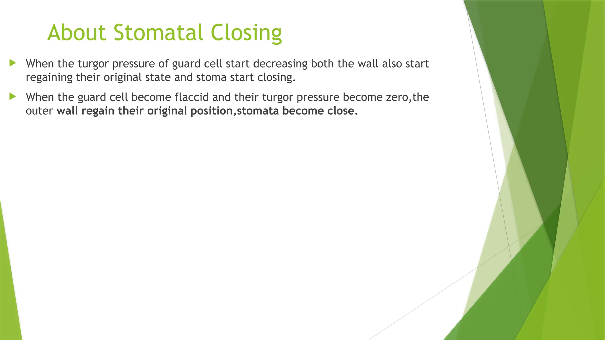 Mechanisms Of Stomatal Opening and Closing.pptx