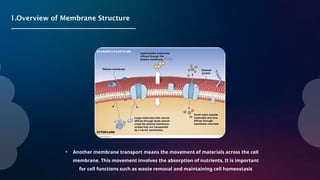 Mechanisms of Substance Movement Across Cell Membranes.pptx