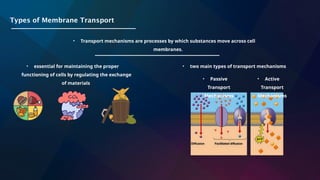 Mechanisms of Substance Movement Across Cell Membranes.pptx