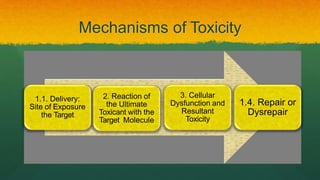 Mechanisms of toxicities.pptx