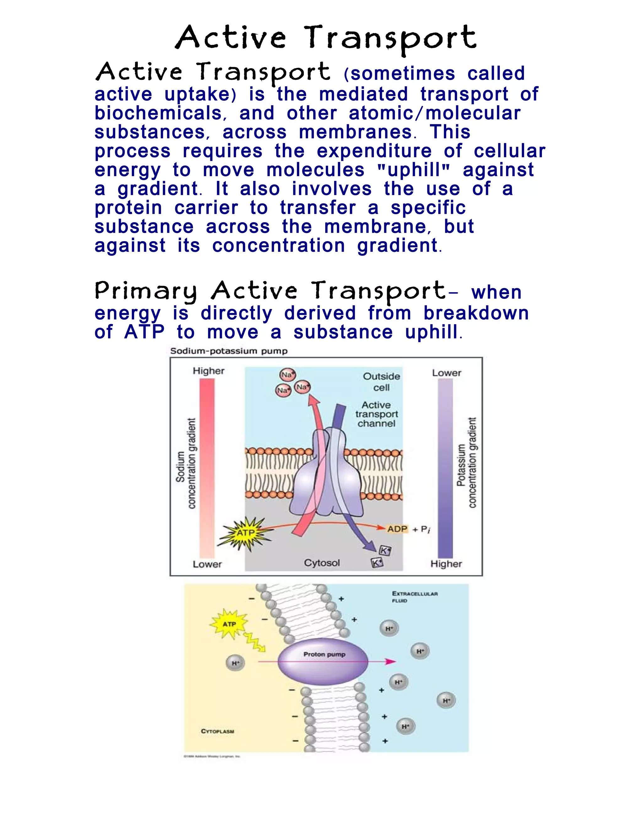 Mechanisms of transport across the cell membrane | DOC