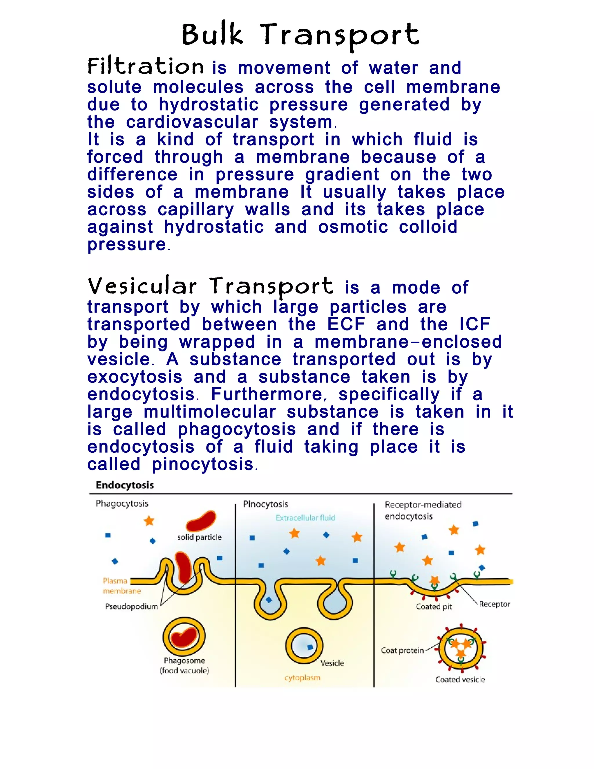 Mechanisms of transport across the cell membrane | DOC
