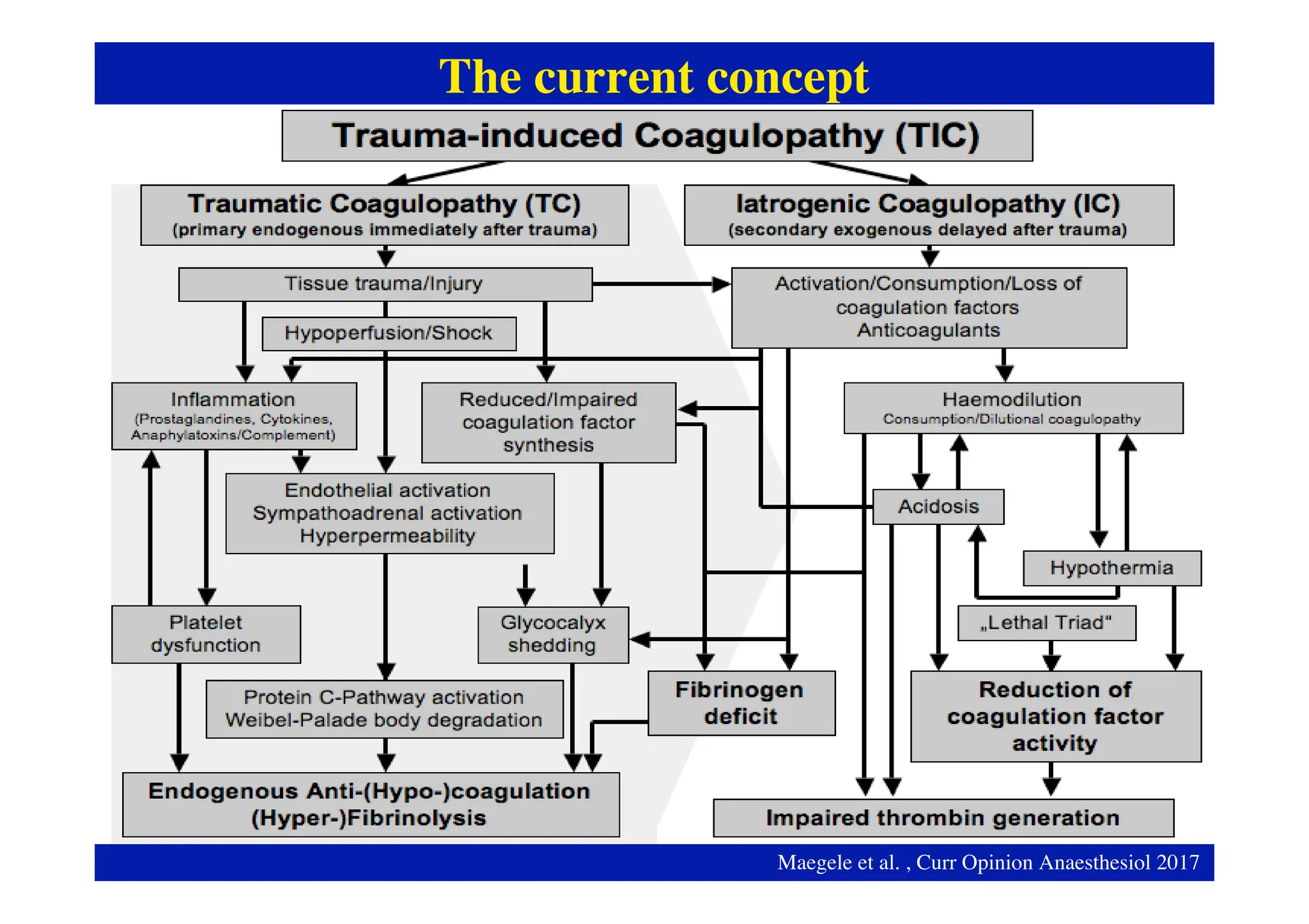 Mechanisms of trauma-induced coagulopathy specific acidosis and all.pdf