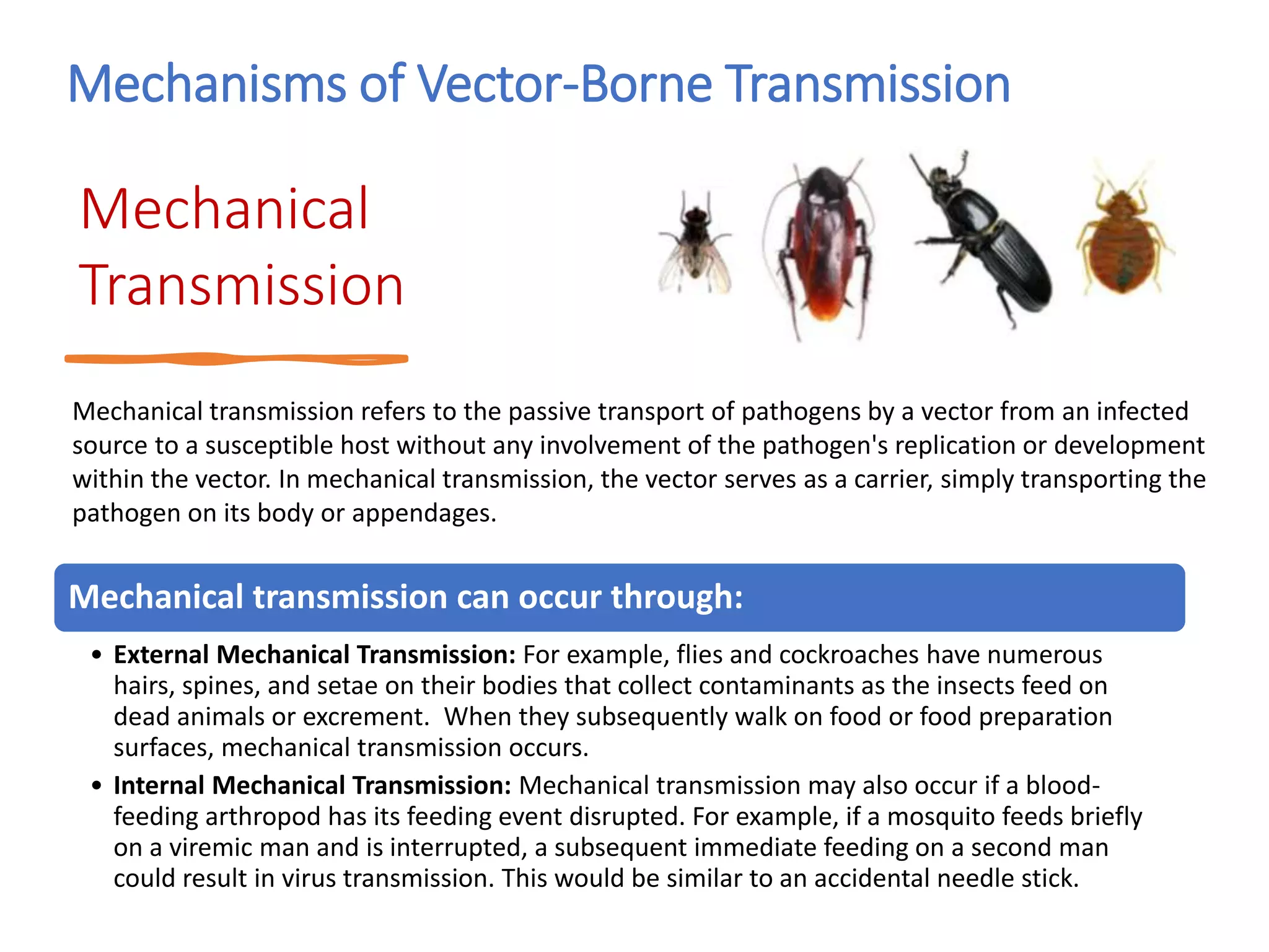 Mechanisms of Vector-Born Transmission.pptx