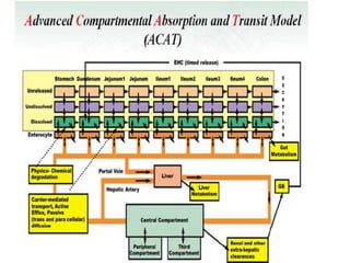 MECHANISTIC - ACAT.pptx