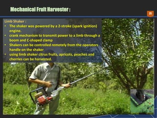 Mechanization and Artificial Intelligence in Horticulture.pptx