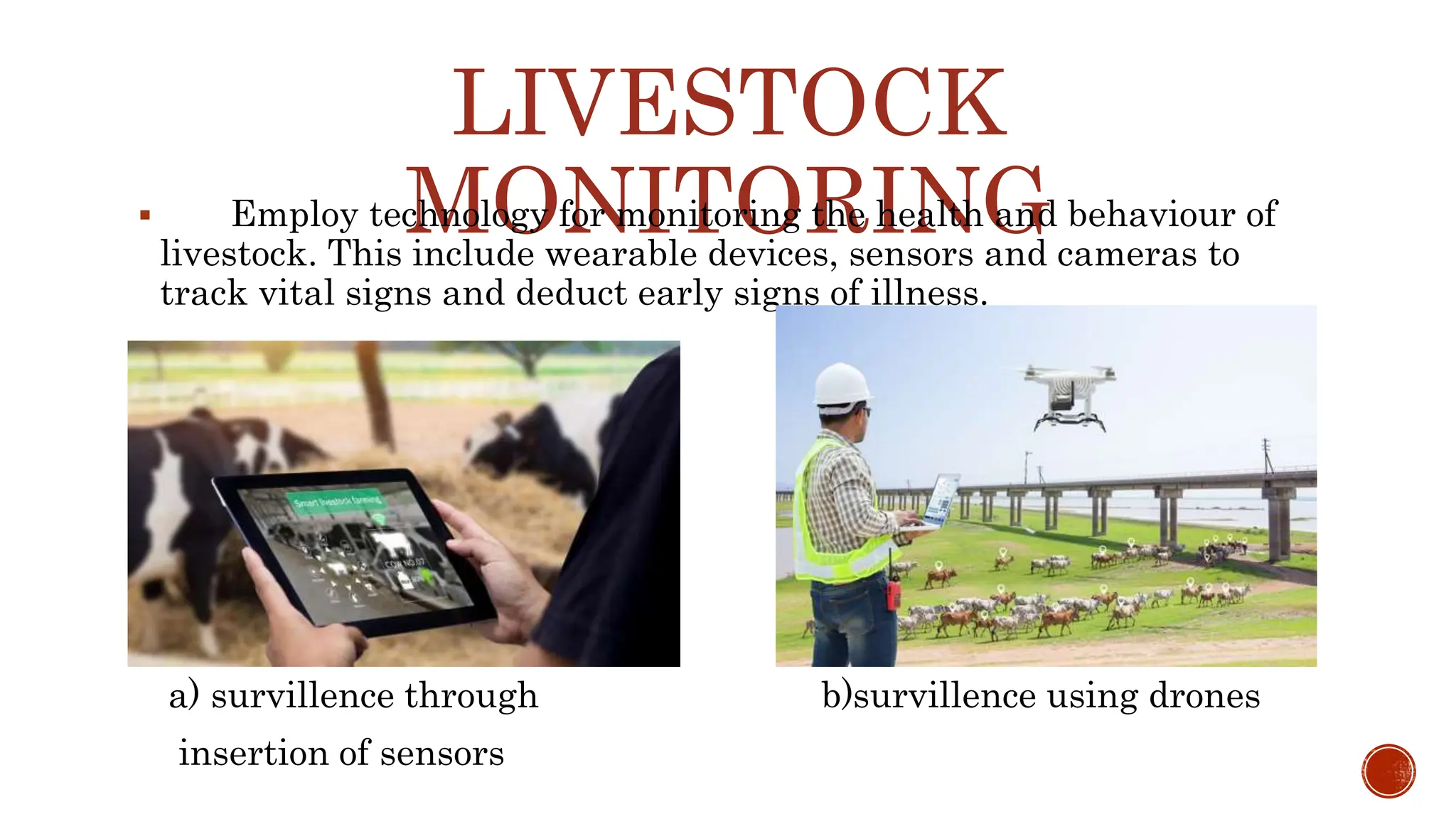 Mechanization in livestock farms.pptx