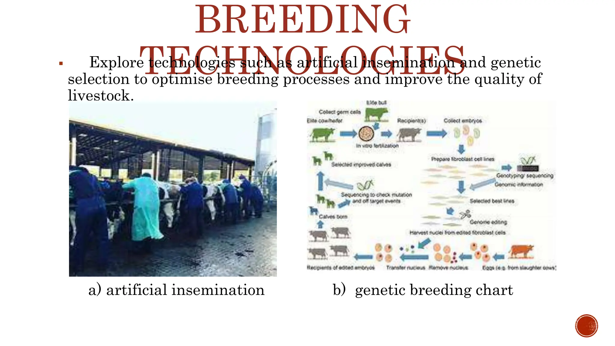 Mechanization in livestock farms.pptx