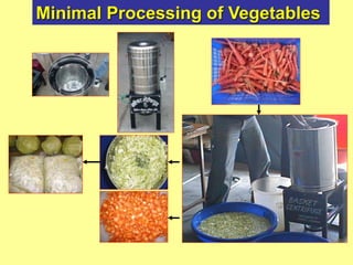 Mechanization of post harvest operations in horticultural crops | PPT