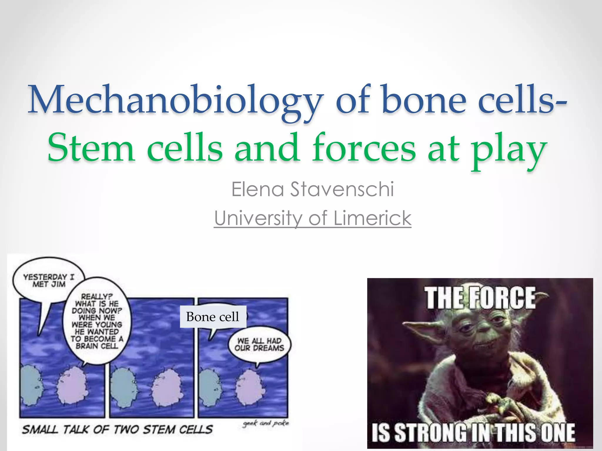 Mechanobiology of bone formation elena stavenschi, university of ...