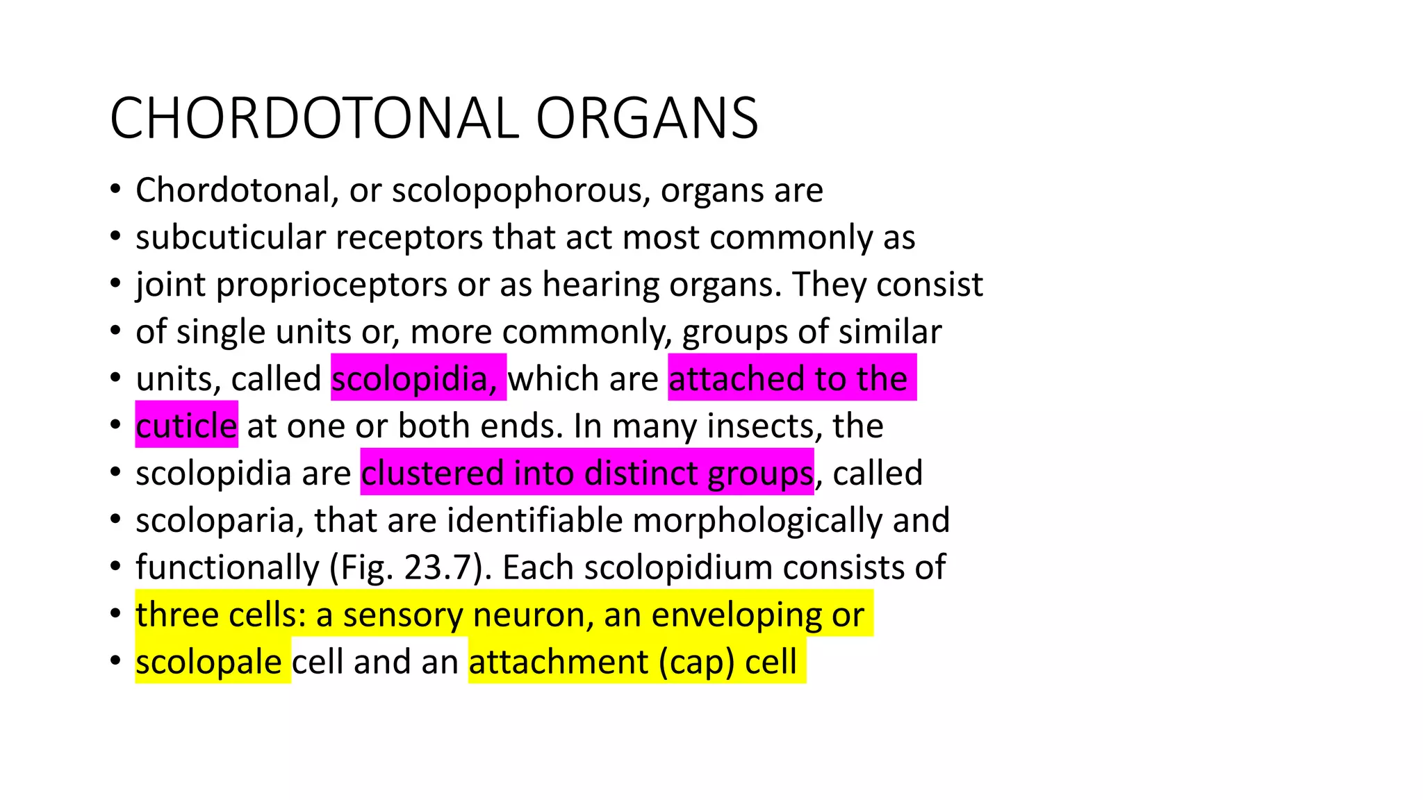 JAndrew/Mechanoreceptors.pptx