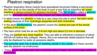 JAndrew/Mechanoreceptors.pptx