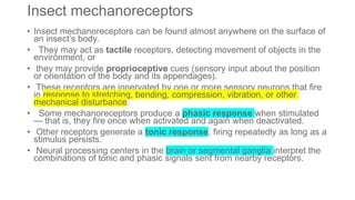JAndrew/Mechanoreceptors.pptx