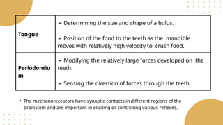 Mechanoreceptors for the swallowing and its problems in dysphagia | PPTX