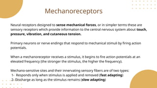 Mechanoreceptors for the swallowing and its problems in dysphagia | PPTX