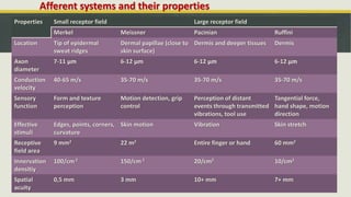 Mechanosensation | PPT