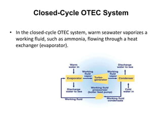 mech Ocean Thermal Energy ppt.pptx