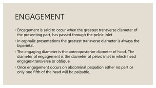 mech of labour final gynaecology presentation pptx | PPTX