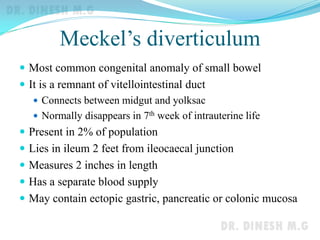 Meckel's Diverticulum | PPT