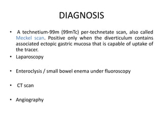 Meckels diverticulum | PPT