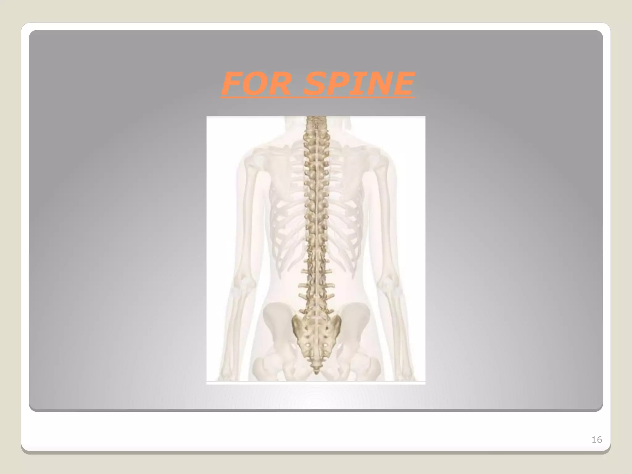 Meckenzie approach | PDF