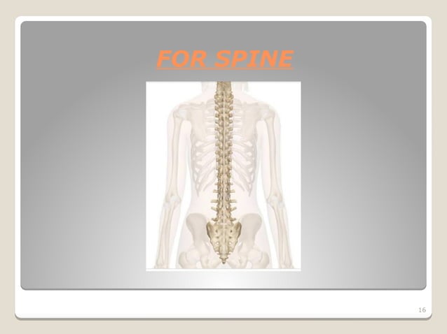 Meckenzie approach | PDF