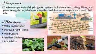 Drip irrigation farmers howe to use drip | PPTX