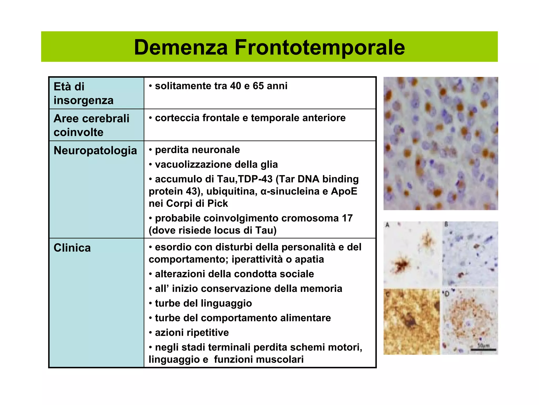 Mecocci | PDF