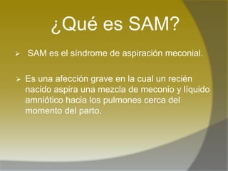 Meconio | PPTX