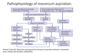 Meconium aspiration syndrome | PPTX