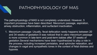 Meconium Aspiration Syndrome|MAS in neonates | PPT