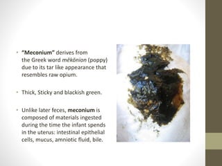 Meconium disease | PPTX | Digestive Disorders | Diseases and Conditions