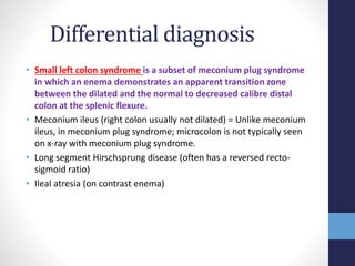 Meconium plug + Meconium ileus. Current overview | PPTX