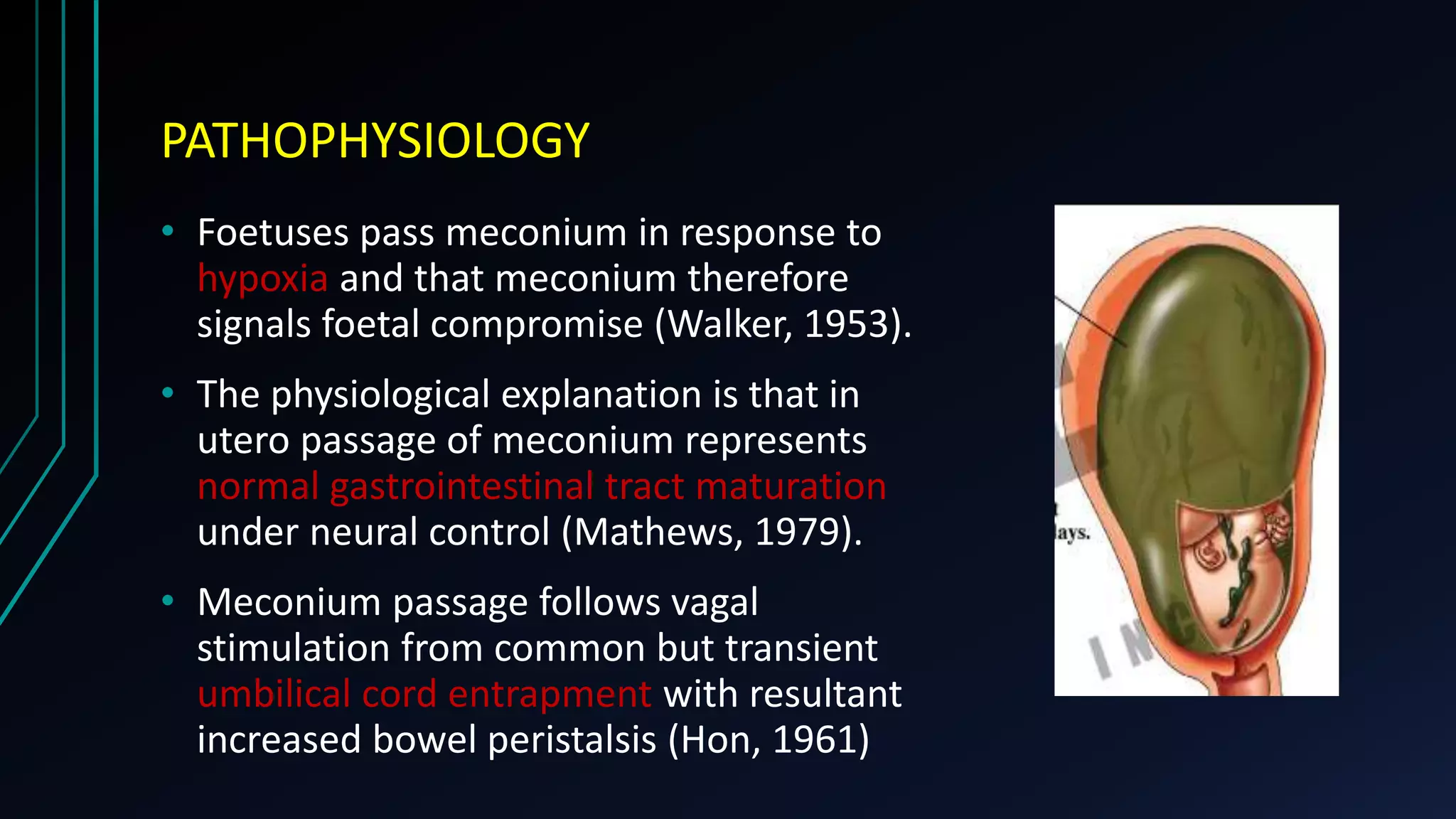 MECONIUM STAINED AMNIOTIC FLUID | PPTX
