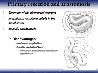 Meconium syndrome and short bowel syndrome | PPT