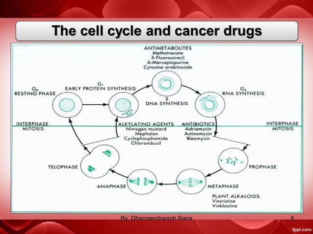 Medicinal chemistry-Anticancer agents | PPT | Cancer | Diseases and Conditions
