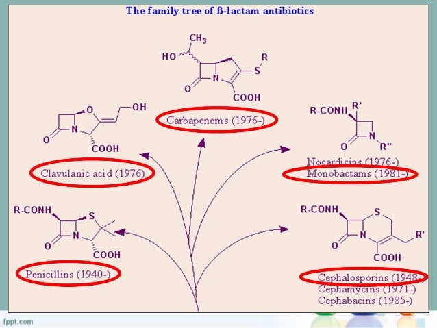 Medicinal chemistry-beta lactam antibiotics