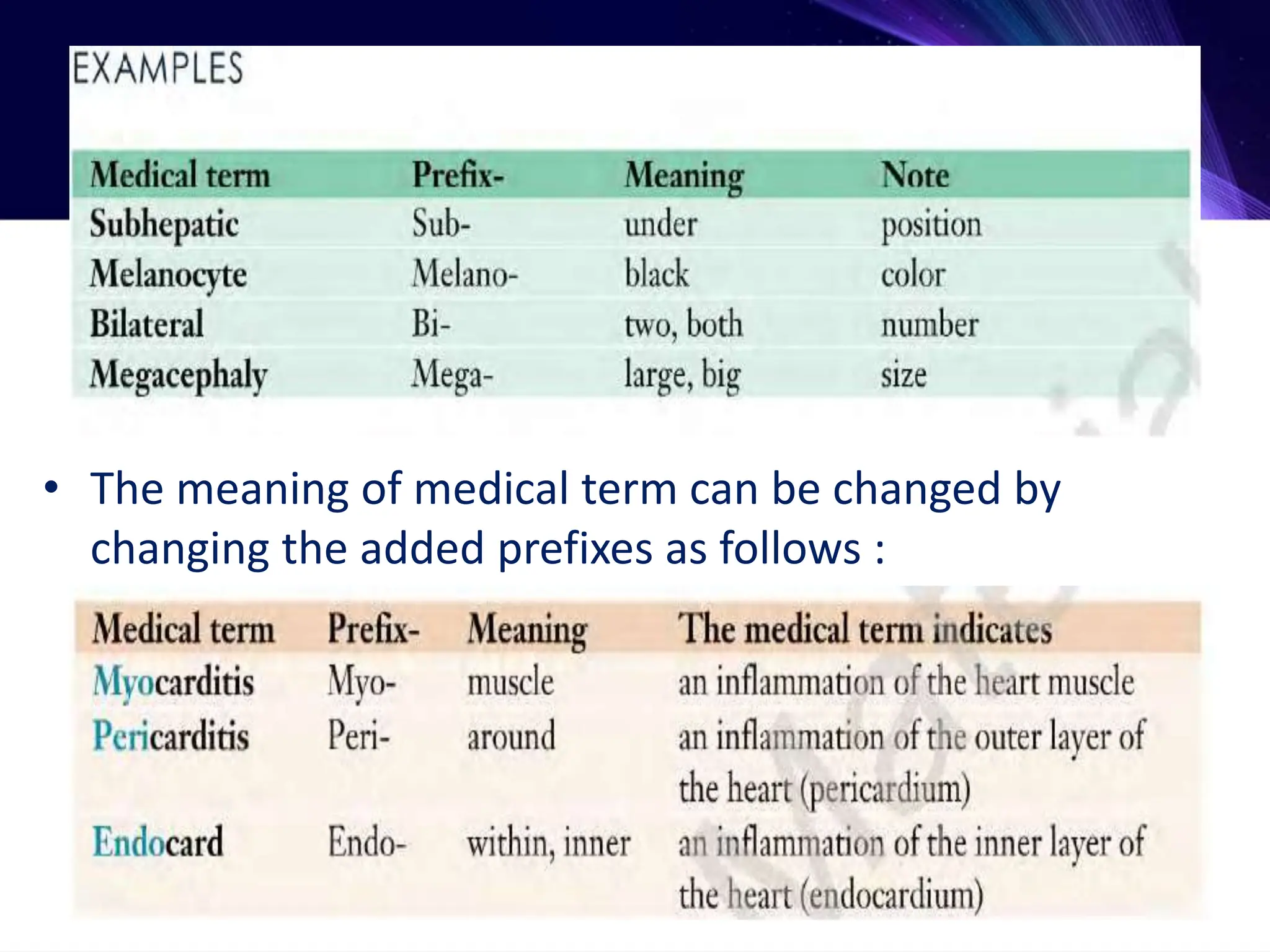med. terminology 1.pptx