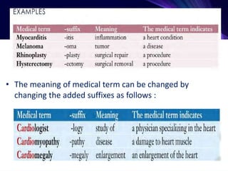 med. terminology 1.pptx