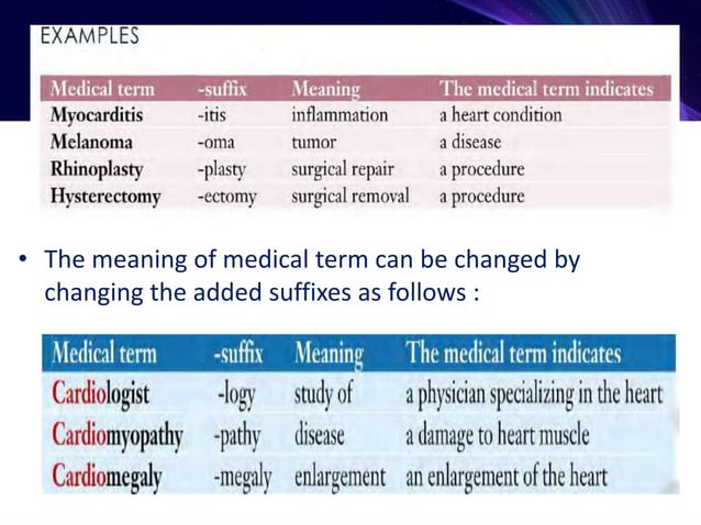 med. terminology 1.pptx