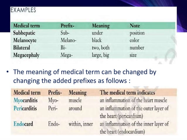 med. terminology 1.pptx