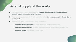 Layers of the Scalp.pptx