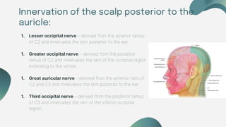 Layers of the Scalp.pptx