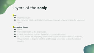 Layers of the Scalp.pptx