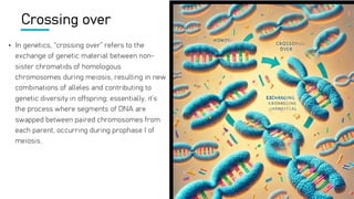 presentation on topic dna separation and slicing | PPT
