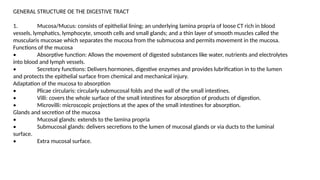 MED317 HISTOLOGY 1 AND EMBROLOGY 1 CA for GROUP 16.pptx