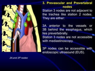 Medastinal lymphadenopathy | PDF