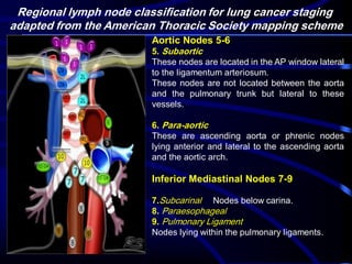 Mediastinal Lymph Node Levels
